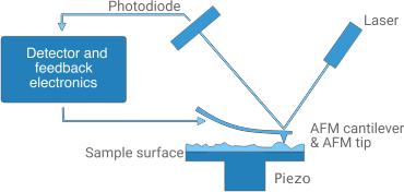 Atomic Force Microscopy (AFM) Information - NanoAndMore