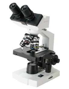 AFM probes, AFM tips, AFM cantilevers - NanoAndMore
