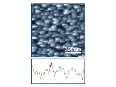 Tipcheck AFM Tip Characterizer Calibration Standard - NanoAndMore